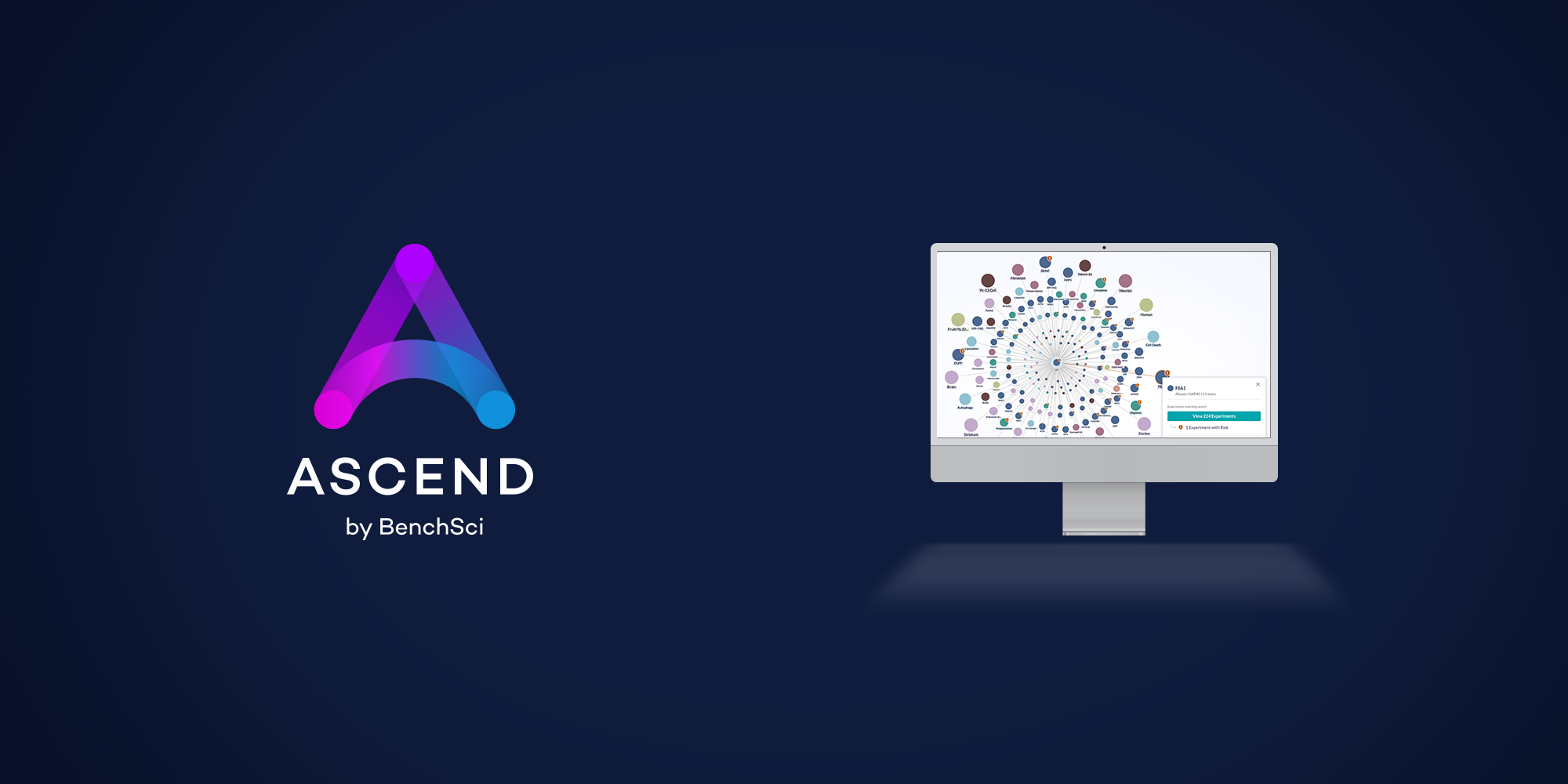 Introducing ASCEND™ by BenchSci, our innovative new AI platform with the power to transform ...